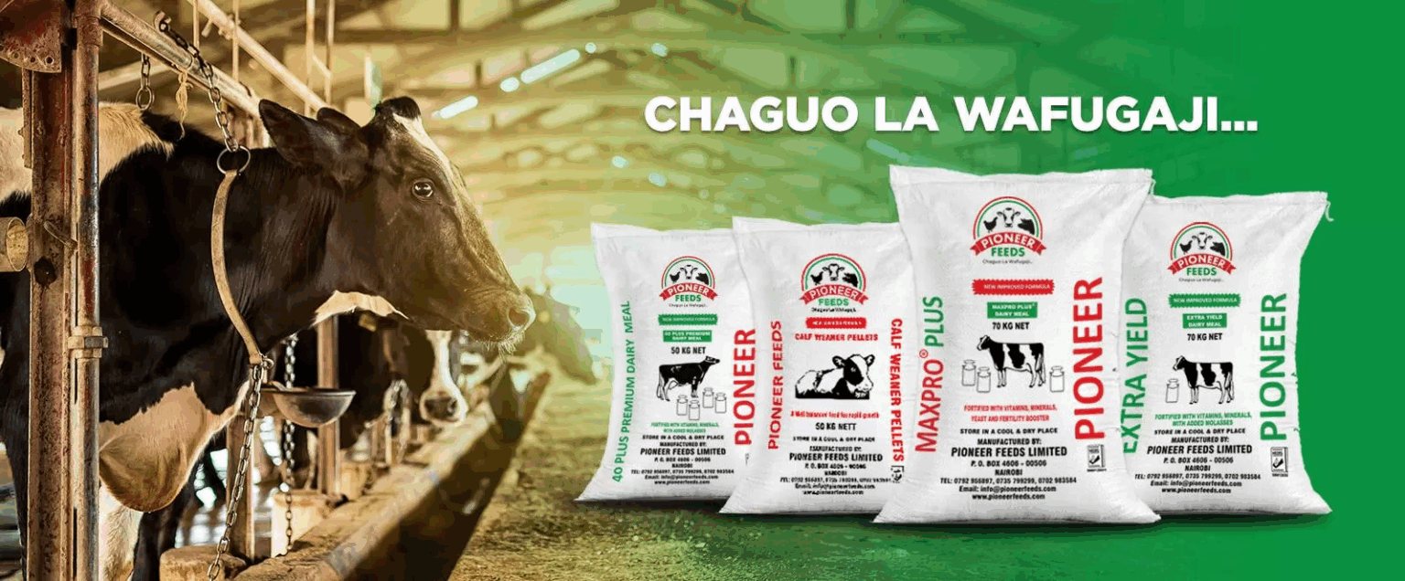 Top Animal Feed Companies in Kenya for 2025 - uwezofarm Dairy Cow in ...